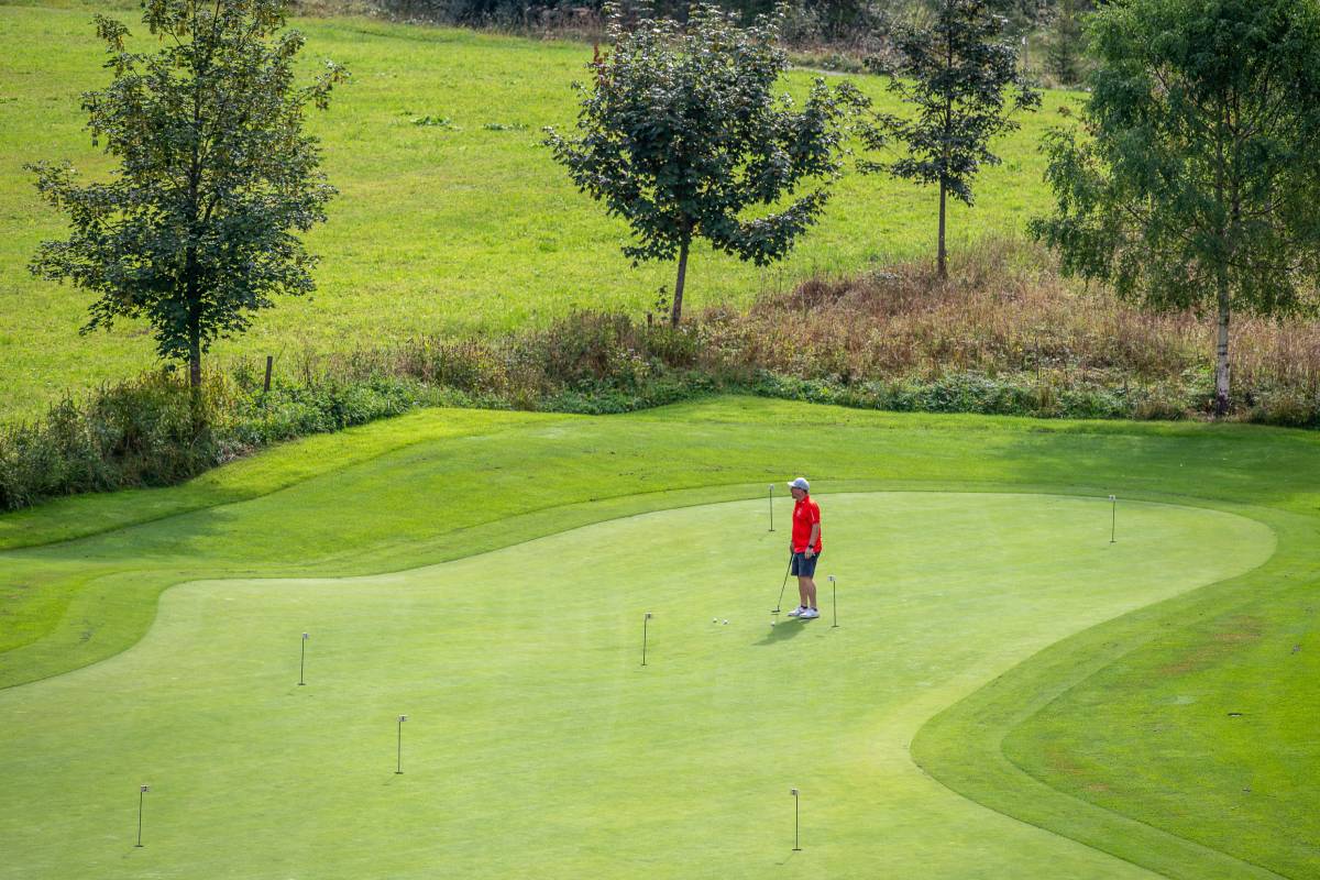 What Grass Is the Best for a Golf Course? – Blog Associations