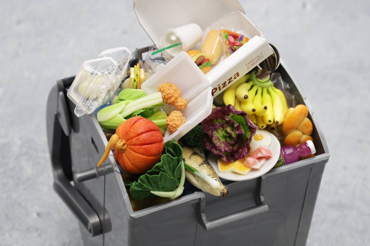 What Is the Most Common Food Waste and How Can We Stop Wasting Food ...